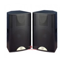 Loa Martin F12 - bán loa hội trường Martin F12 chuyên nghiệp