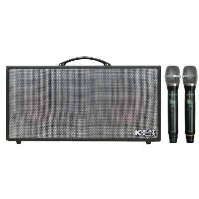 Loa kéo ACNOS KSNet450 tích hợp đầu karaoke, hiện đại, giá rẻ