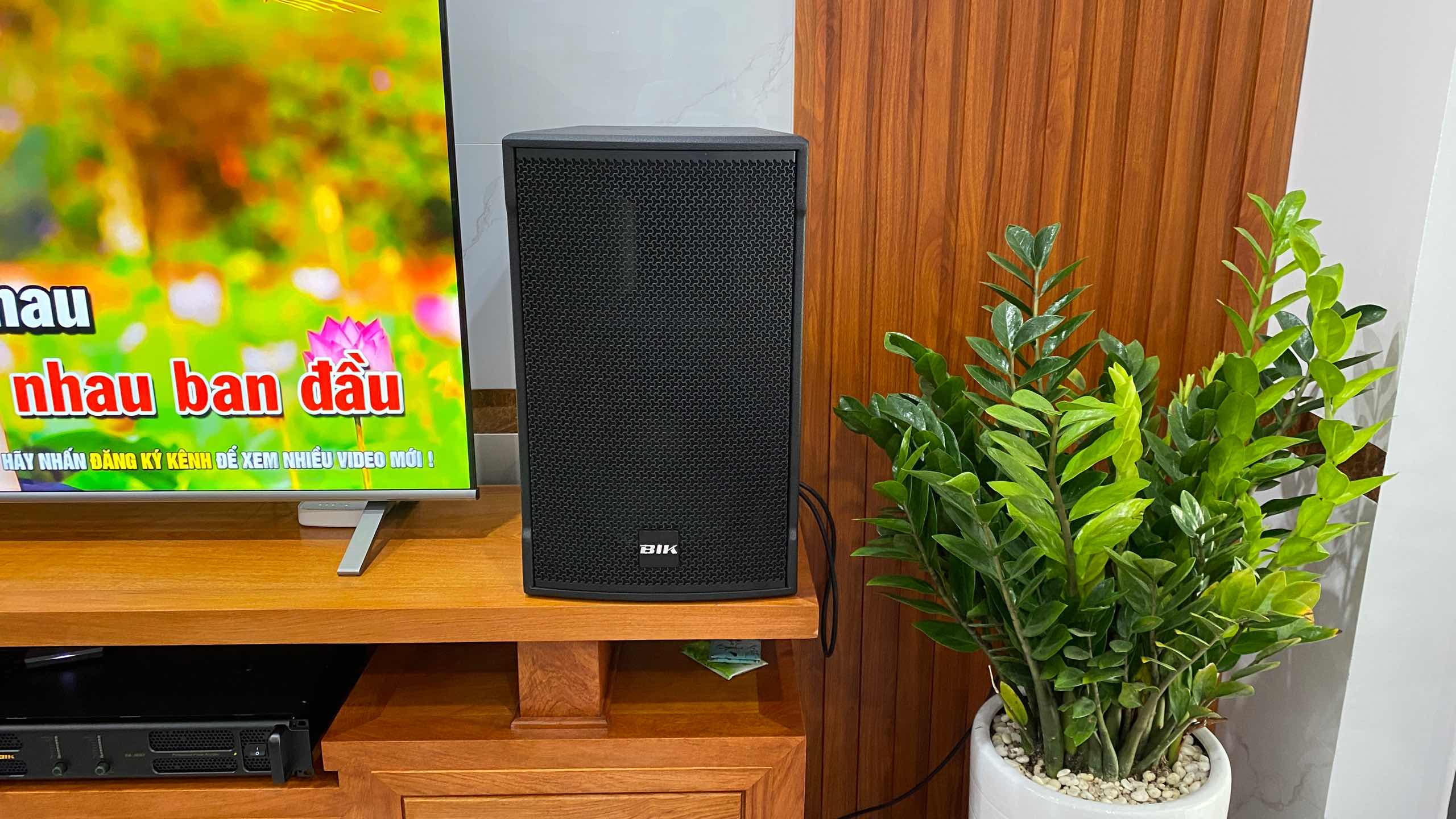 Loa karaoke BIK CS-525 bass 30, new 2023, giá tốt nhất