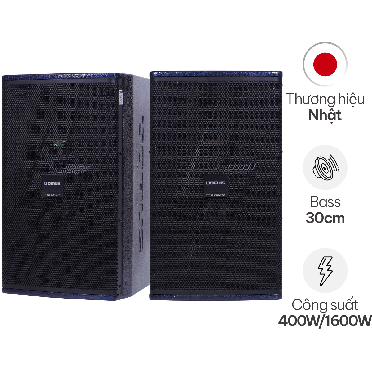 Loa Karaoke Domus DP-6212 MAX | Bass 30cm | Chính hãng