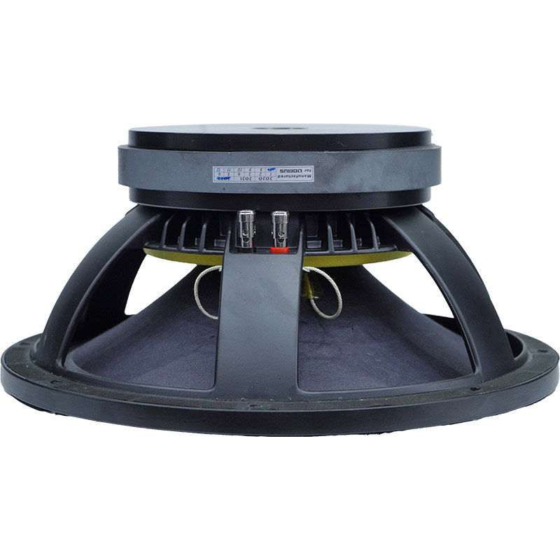 Loa karaoke Domus DP6120 MAX (Full bass 30cm)