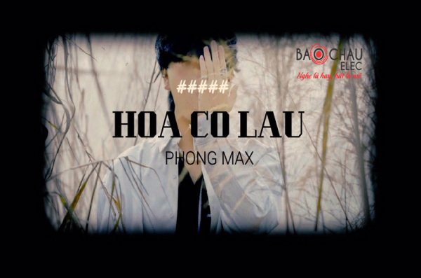 Lời bài hát Hoa Co Lau - Phong Max. Bản Cực Chuẩn