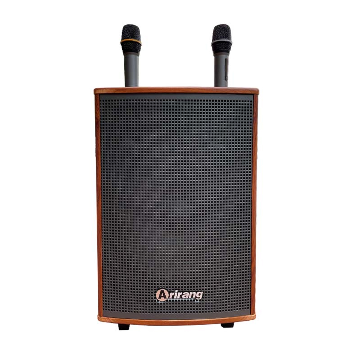Loa kéo Arirang MKS2 I 80W, Bass 30, Kèm 2 Mic. Giá Rẻ