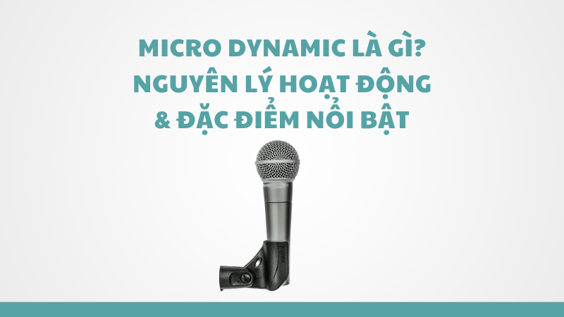 Micro Dynamic là gì? Nguyên lý hoạt động và đặc điểm nổi bật